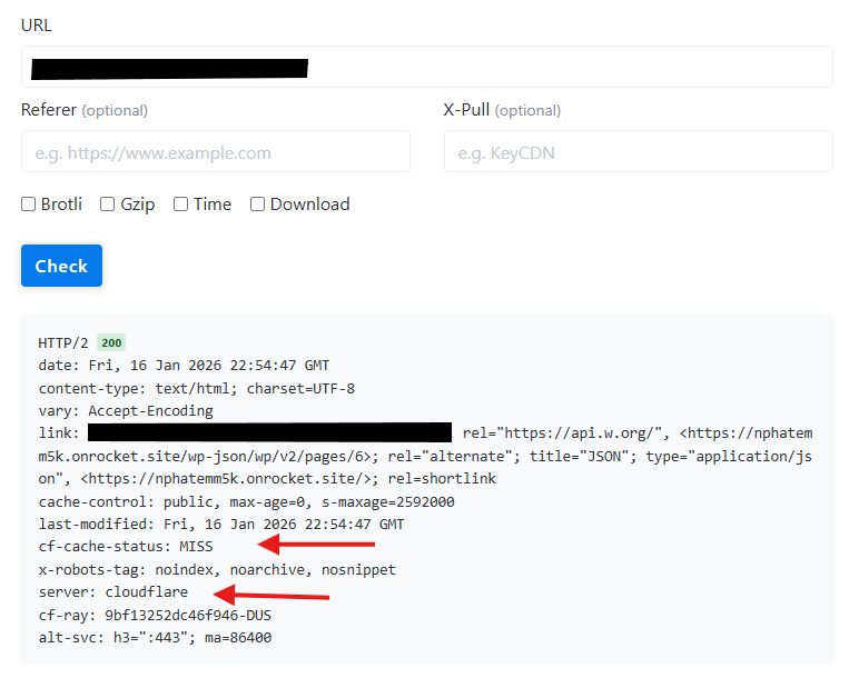 How to Check If Your Website Is Using the Rocket.net CDN – Rocket.net ...